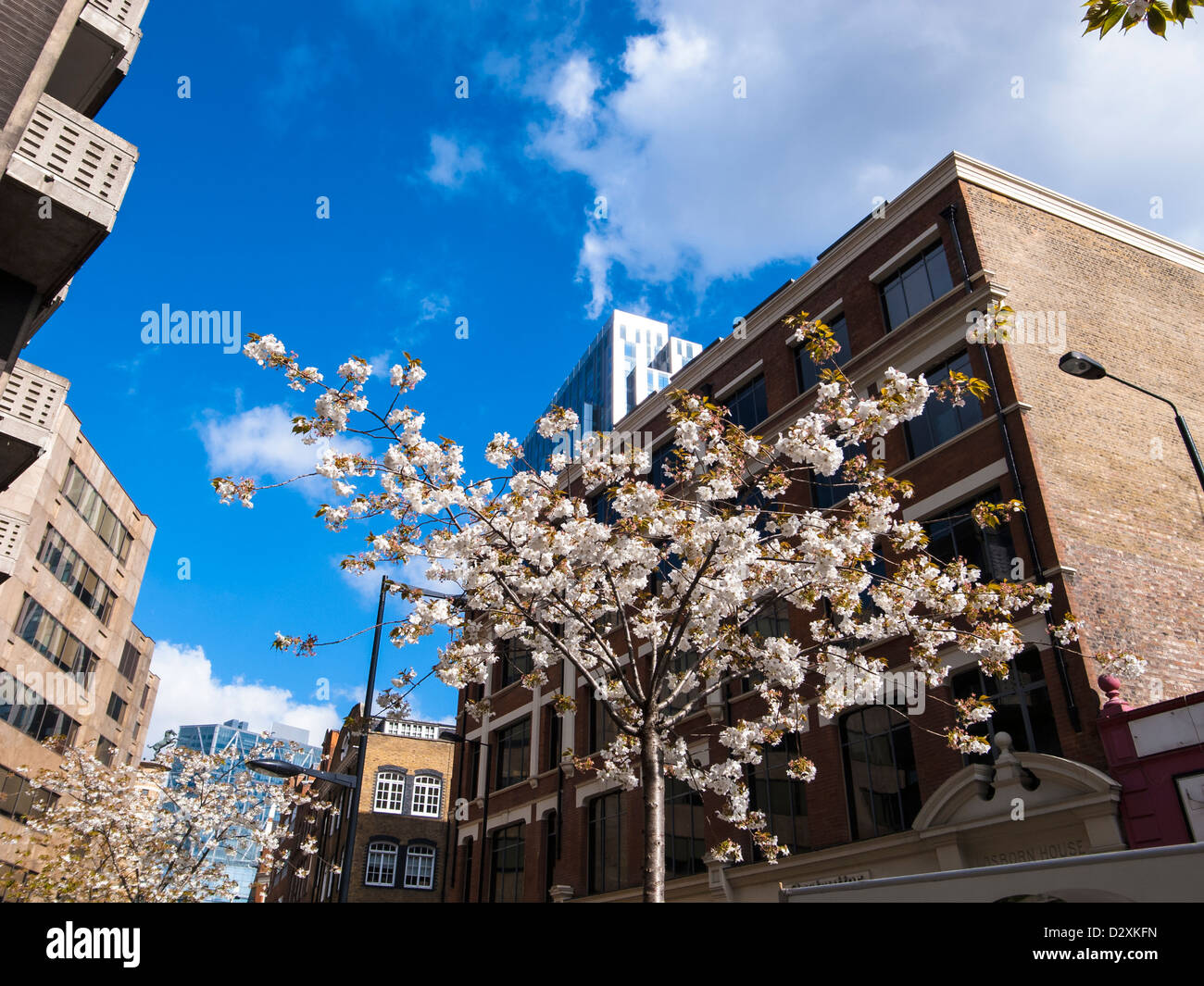 spring in London Stock Photo - Alamy