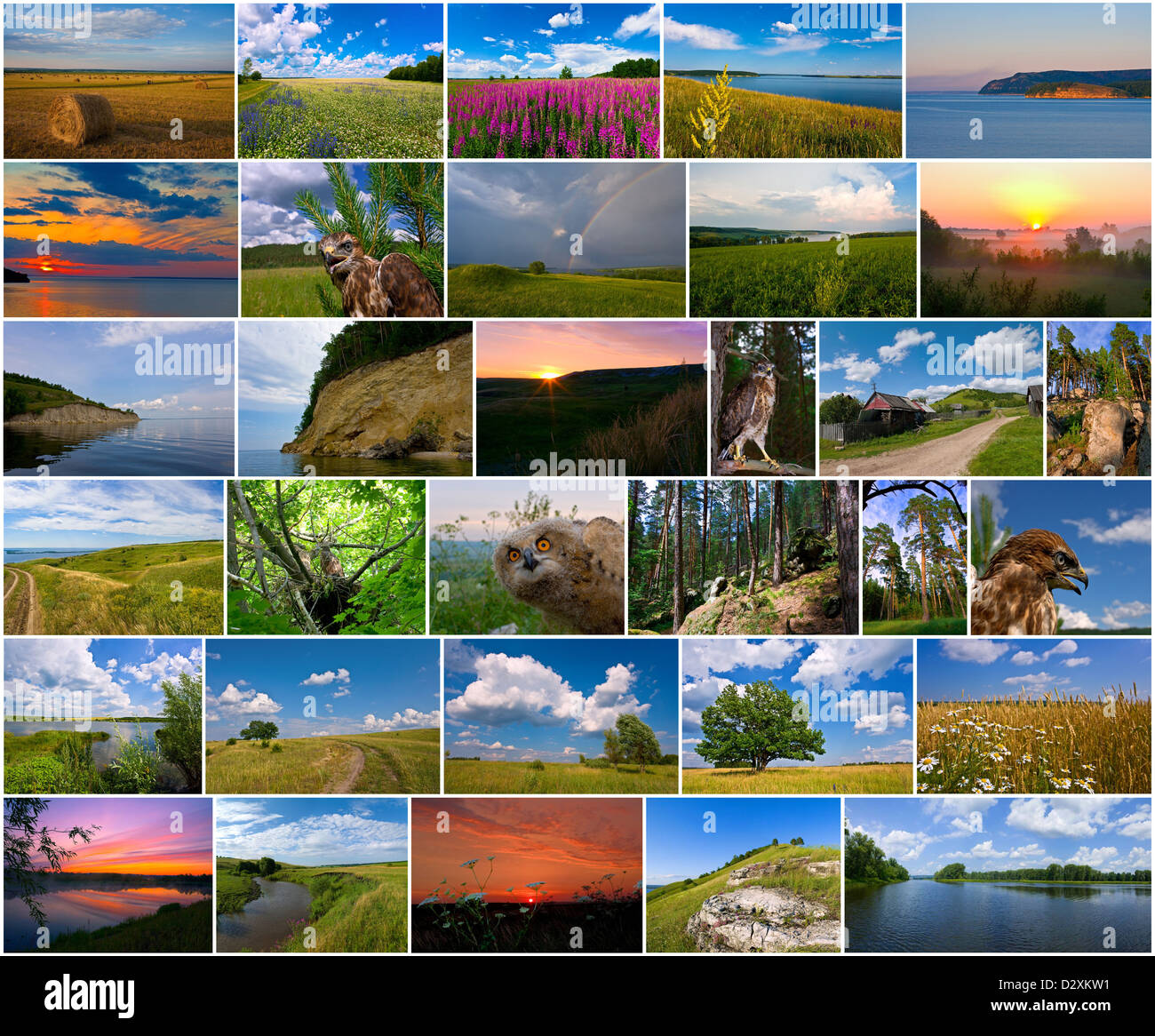Russian summer season time collage from natural landscape shots Stock ...