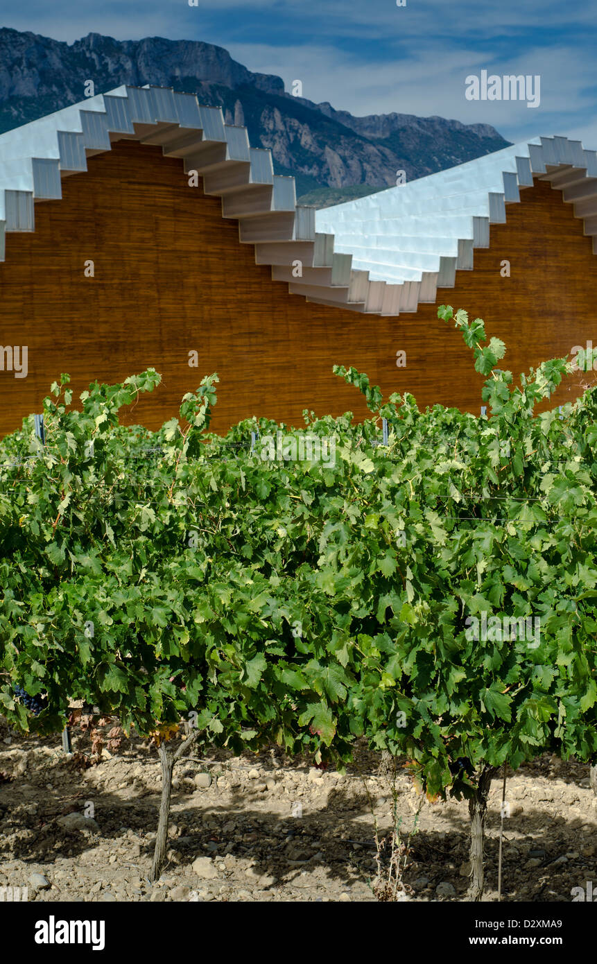 Ysios winery at Laguardia, La Rioja, Spain Stock Photo - Alamy