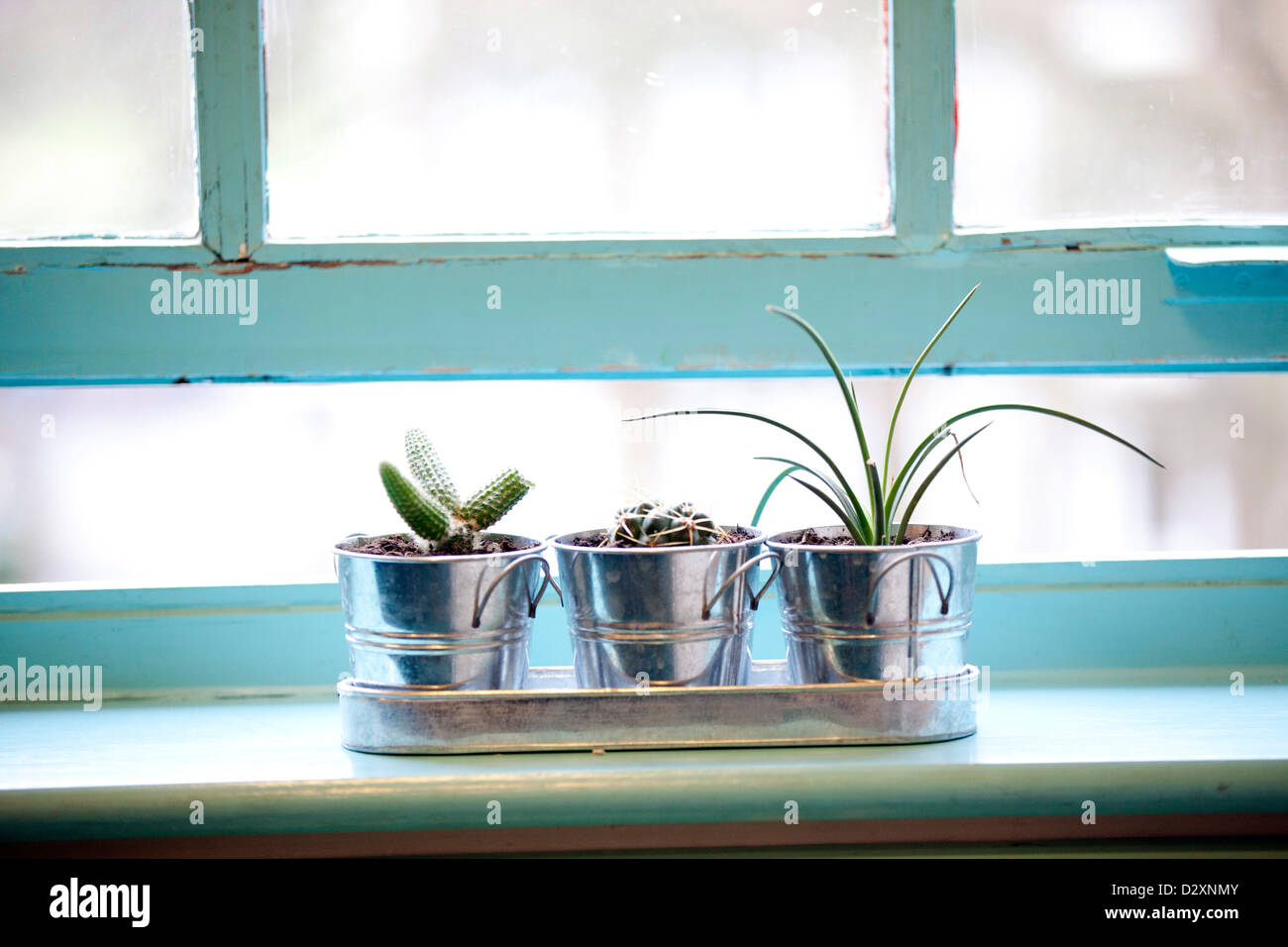 Classroom plants hi-res stock photography and images - Alamy