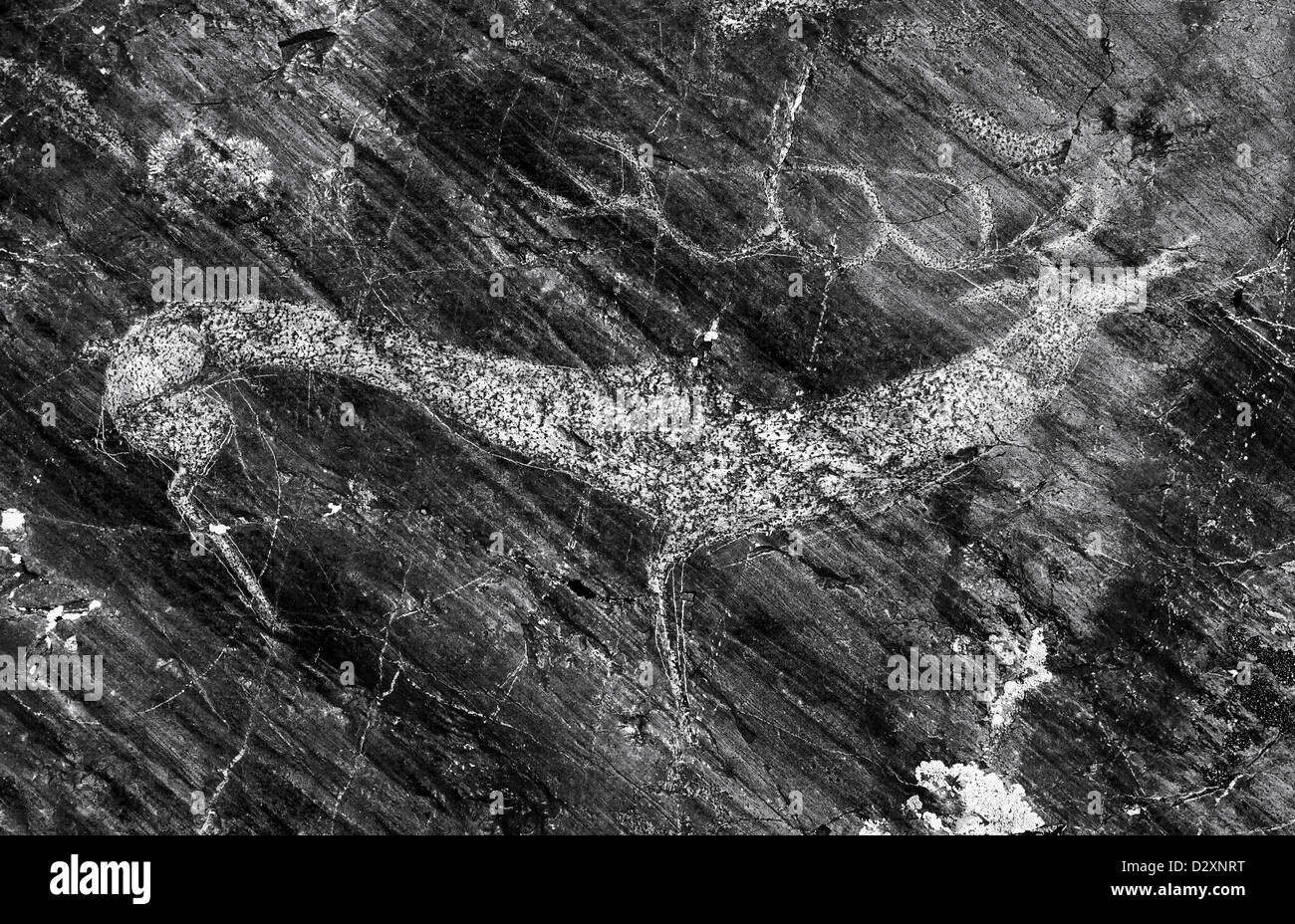 The ancient drawings on rocks Stock Photo - Alamy