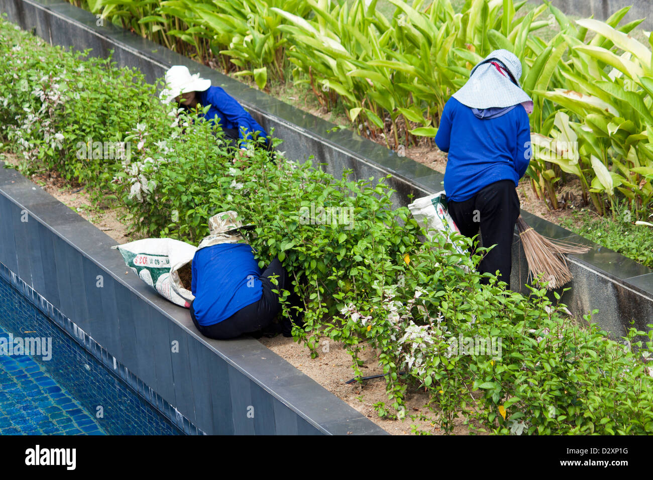 Marriott hotel swimming pool hi-res stock photography and images - Alamy