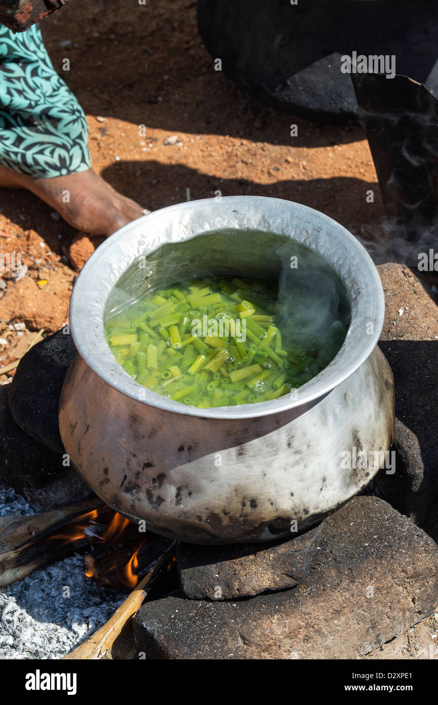 Indian village woman cooking hi-res stock photography and images - Alamy