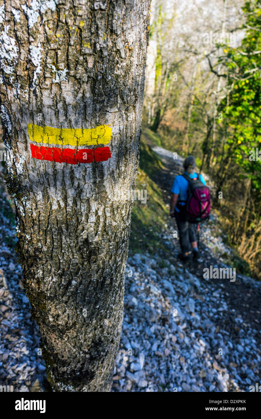 Red and yellow footpath marker on tree with walker Stock Photo - Alamy