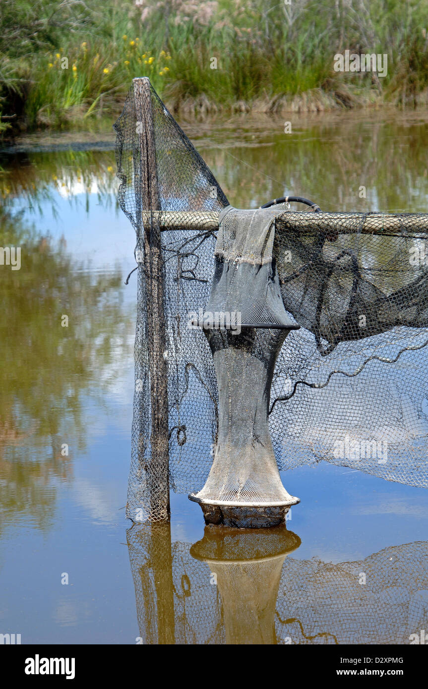 Marsh marshland marshes hi-res stock photography and images - Alamy