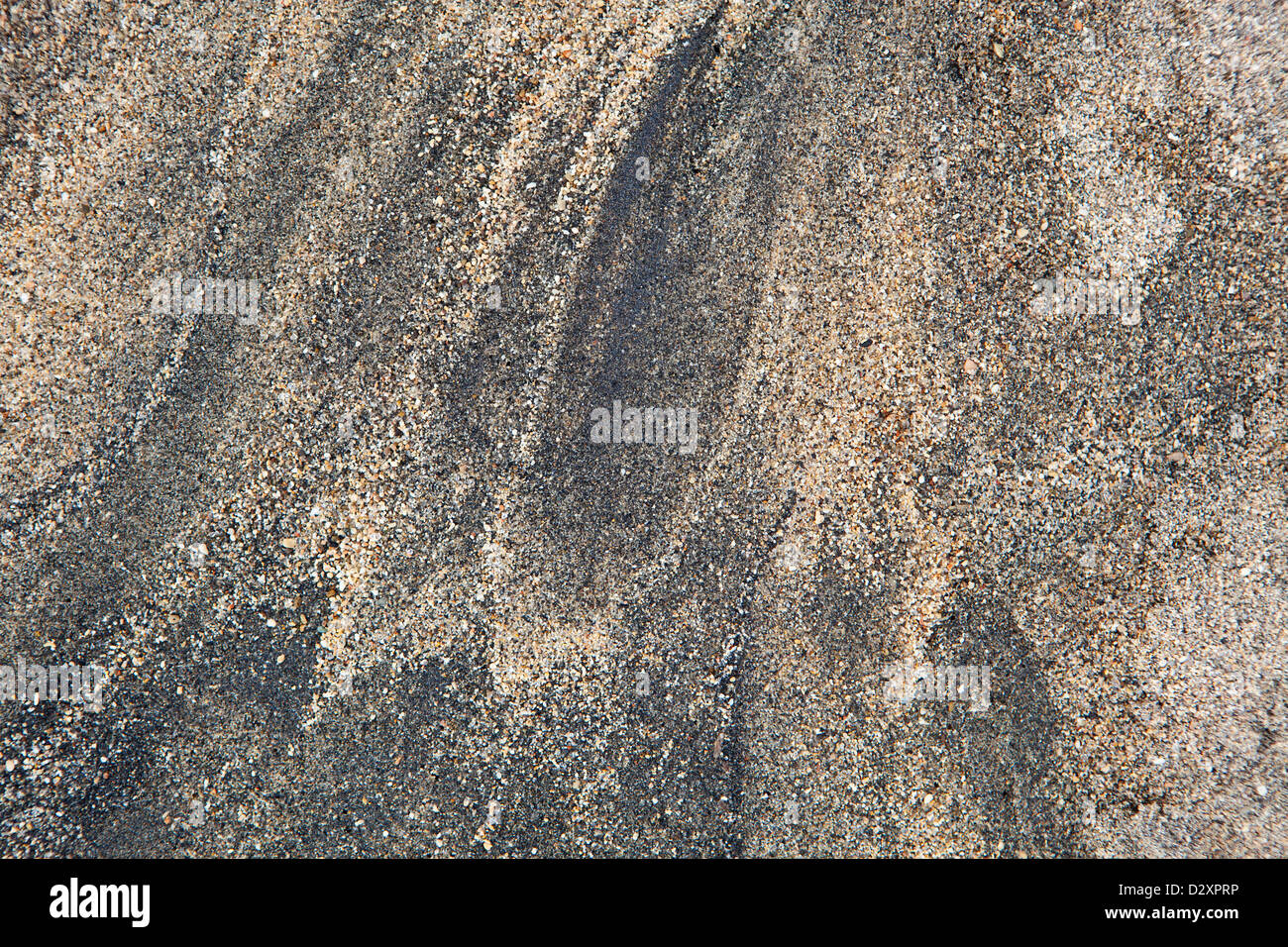Black white beach hi-res stock photography and images - Alamy