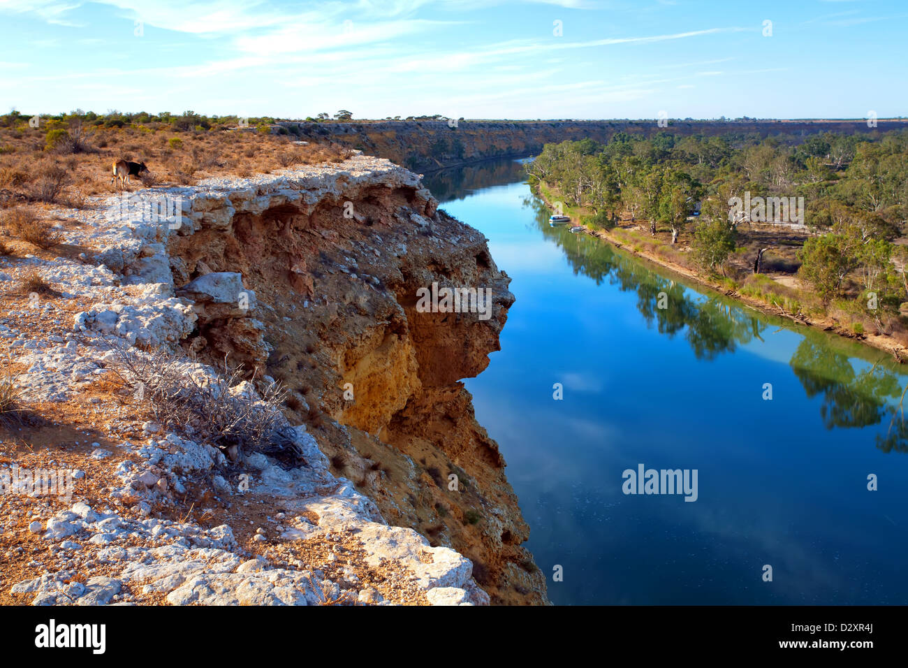 Murray River landscape South Australia Stock Photo - Alamy