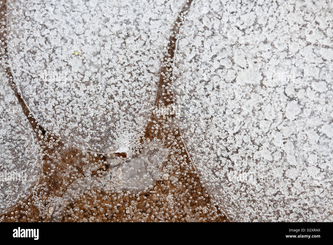 background texture frozen puddle on the floor converted in ice Stock ...
