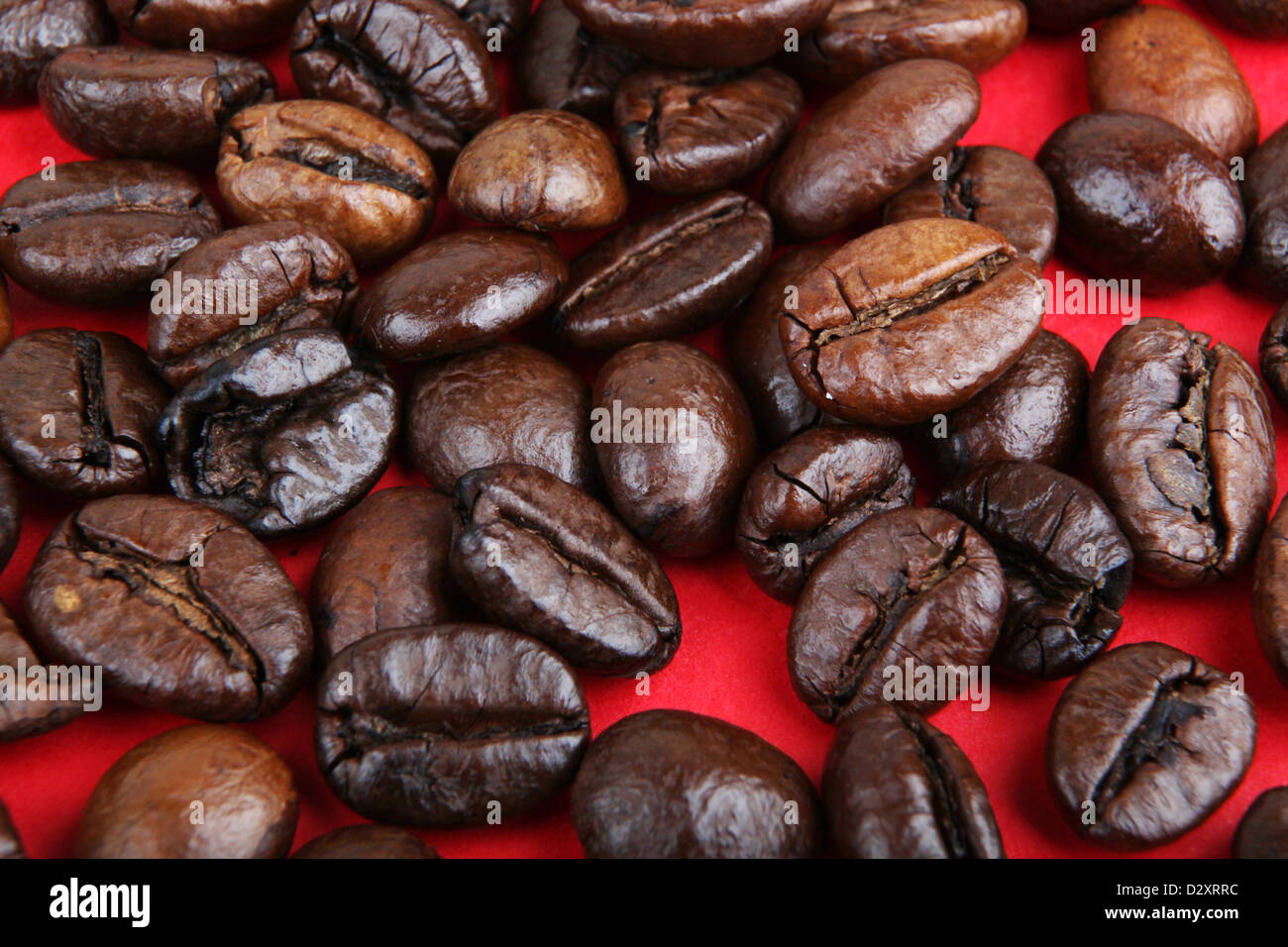Closeup of coffee beans Stock Photo - Alamy