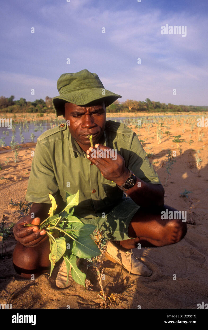 Kenneth Manyangadze, chief scout, tracking Black Rhino spoor, Save ...