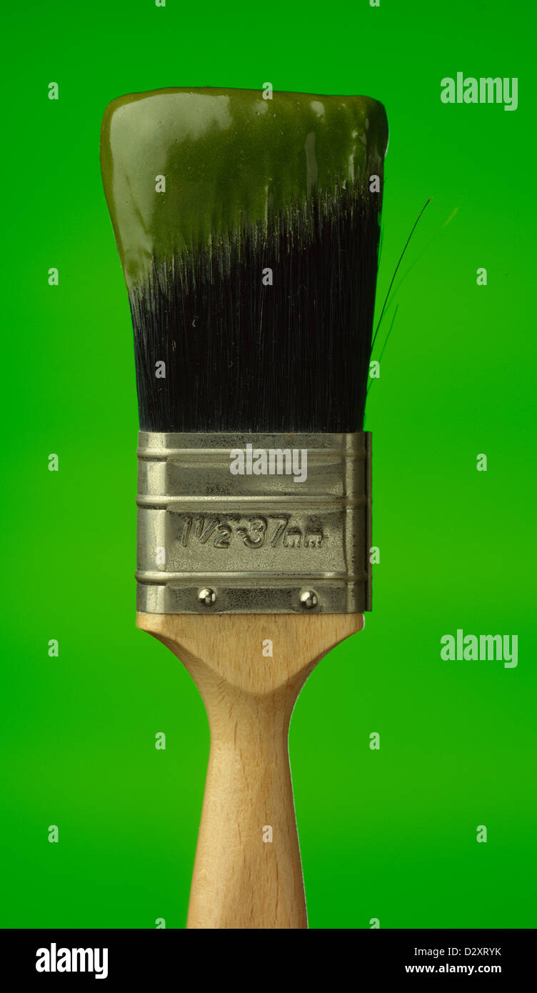 Paintbrush, green paint, green background, studio photograph Stock ...