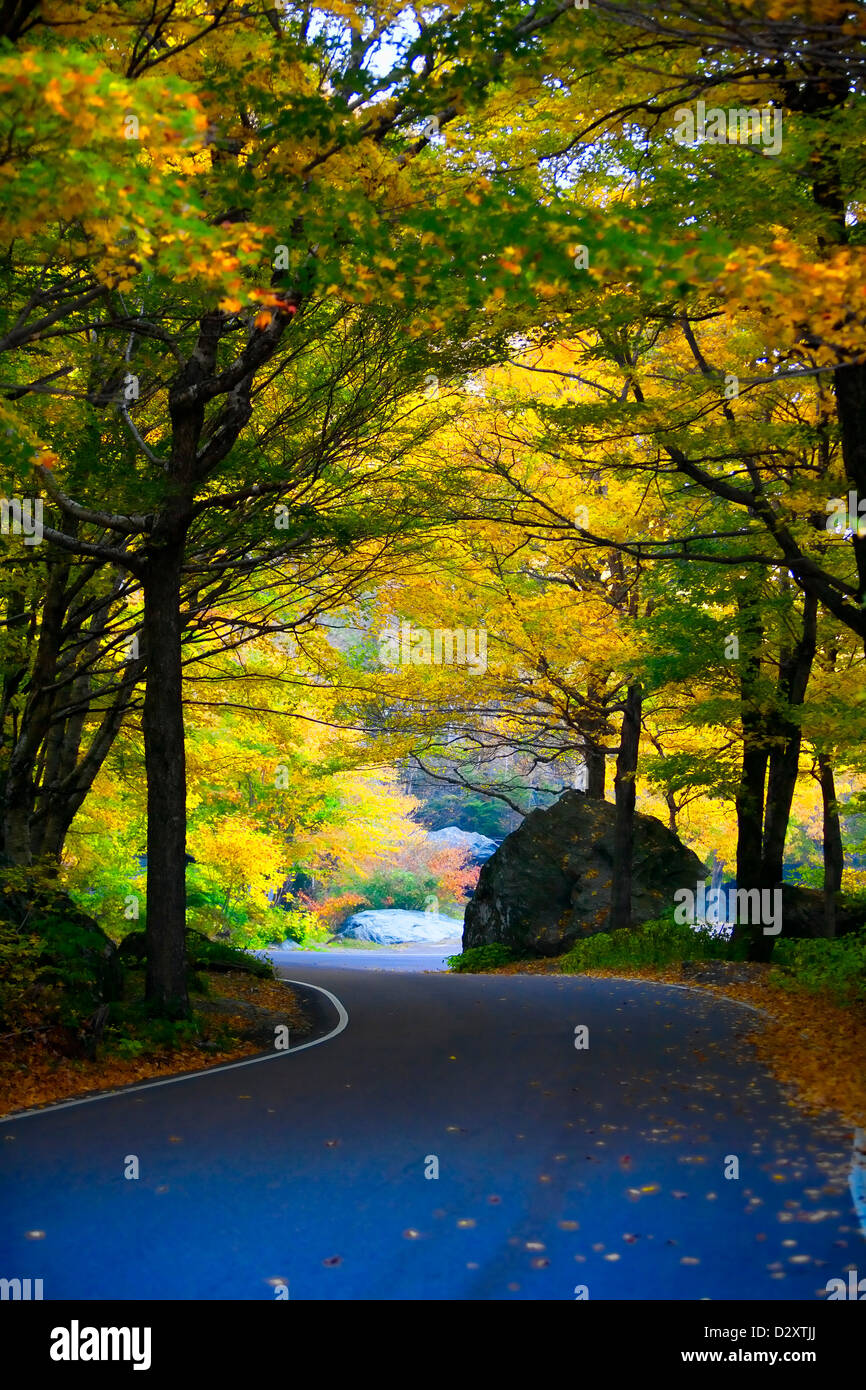 Winding road through autumn trees, Stowe Vermont, USA Stock Photo - Alamy