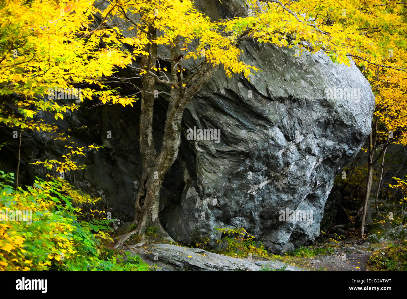 Vermont leaf peeping hi-res stock photography and images - Alamy