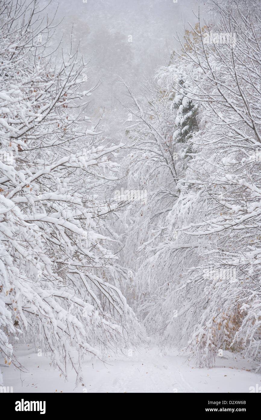 Smugglers notch, vermont road hi-res stock photography and images - Alamy