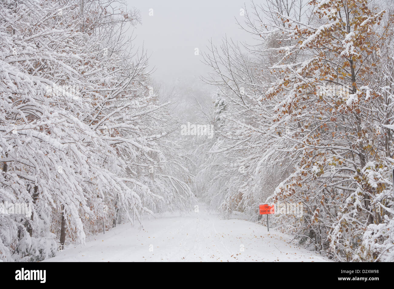 An early autumn snowfall on the Smugglers Notch (Rt. 108) road, Stowe ...