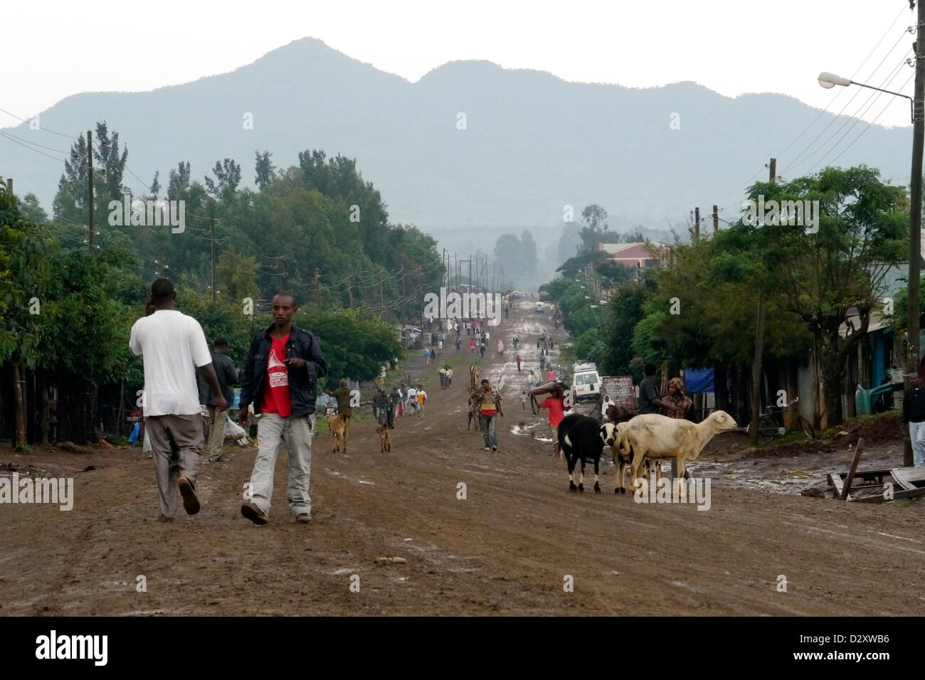 ethiopia street scenes rainy day chagni beni shangul gumuz region 2012 ...