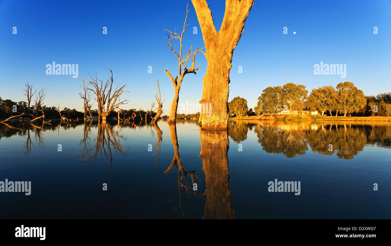 The Murray River in South Australia Stock Photo - Alamy