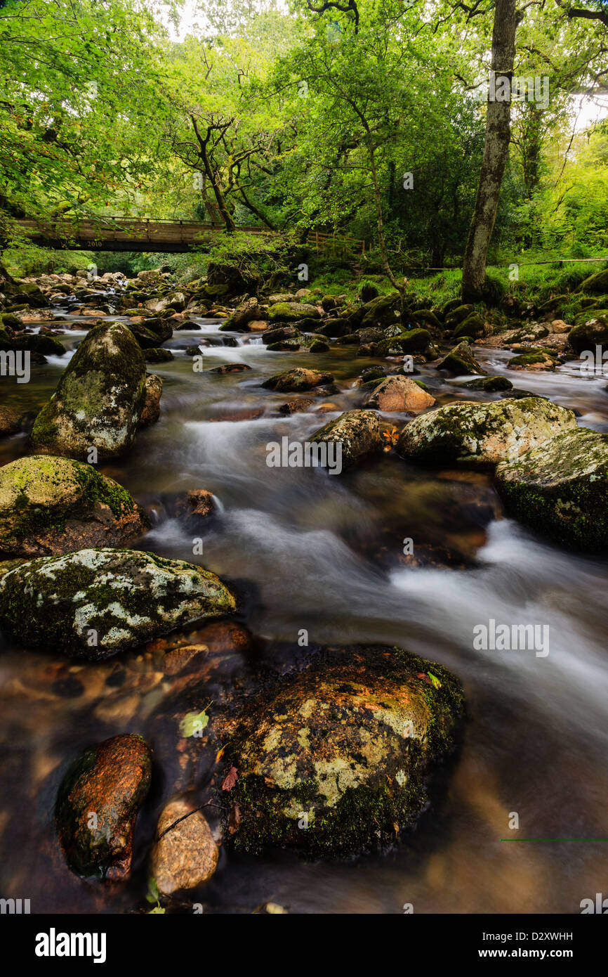 River Plym at Shaugh Prior, Dartmoor, Devon, United Kingdom Stock Photo ...