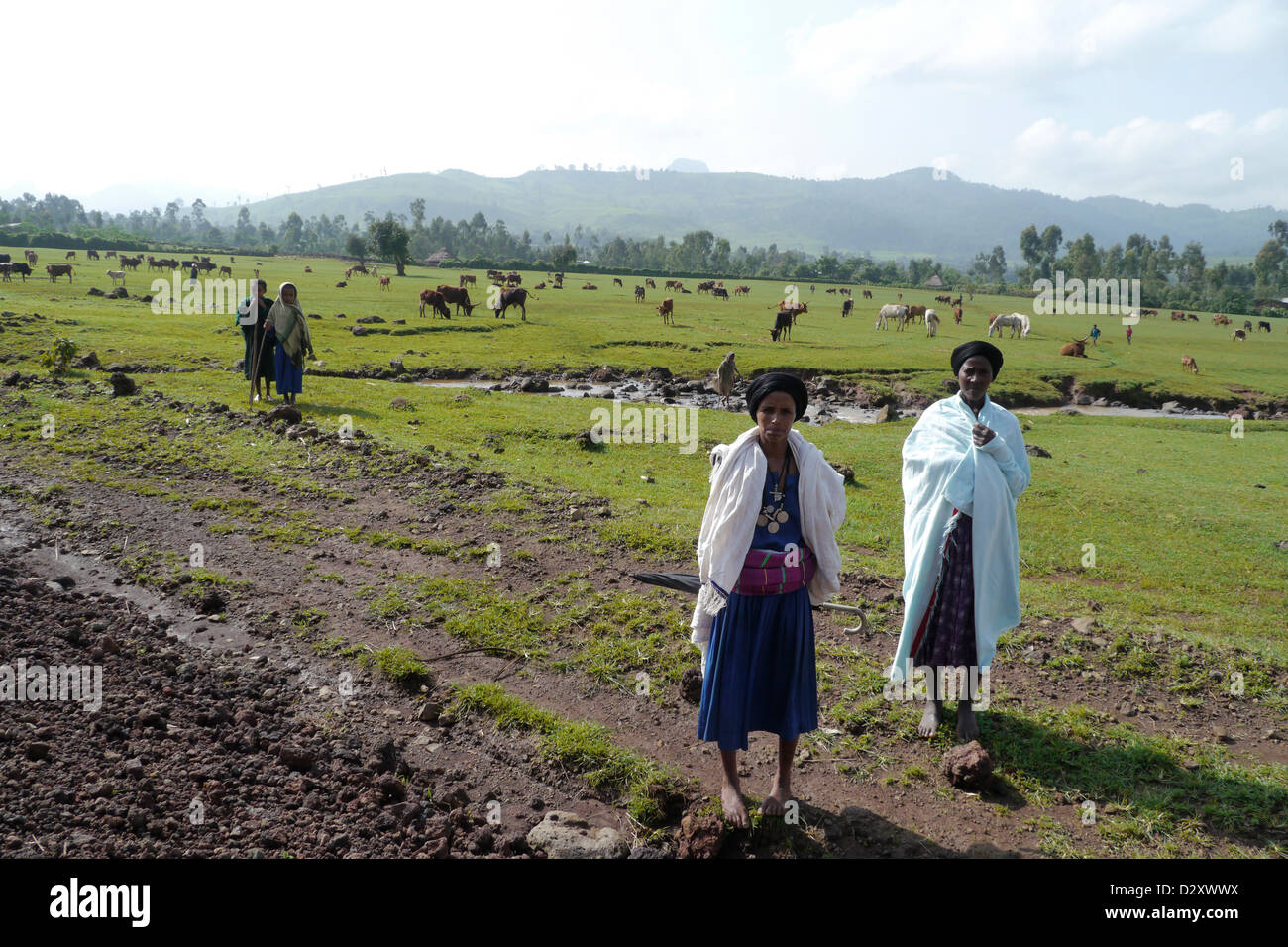 World vision ethiopia hi-res stock photography and images - Alamy