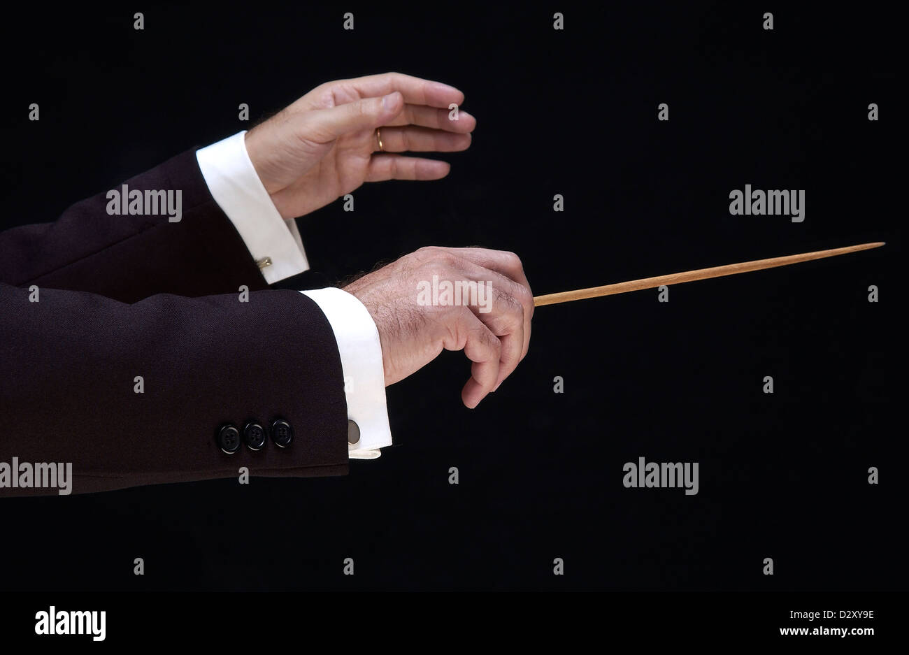 Hands of the conductor, on black background Stock Photo - Alamy
