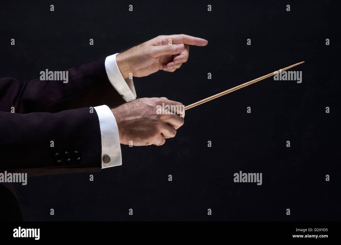 Hands of the conductor, on black background Stock Photo - Alamy