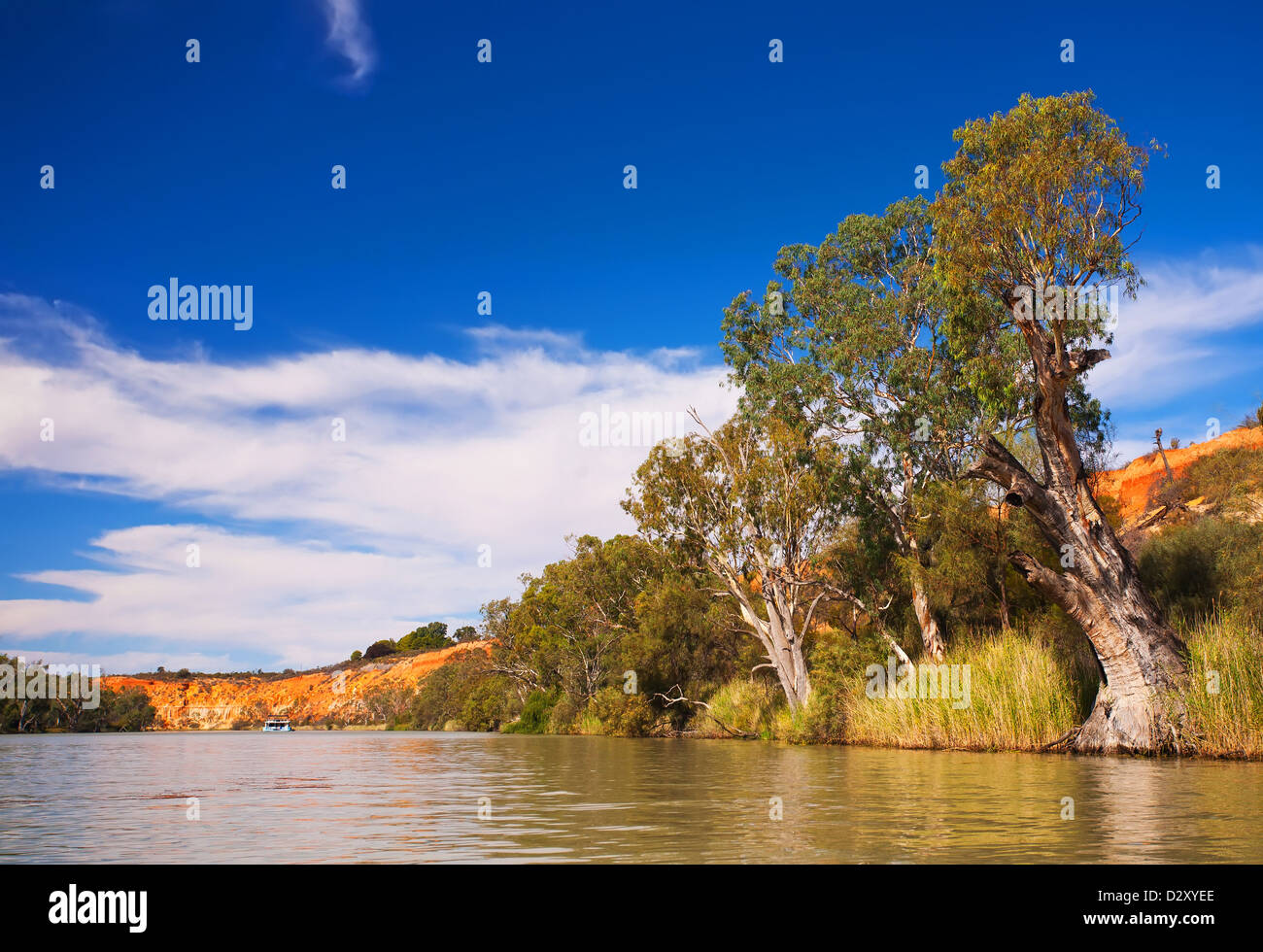 Murray river australia hi-res stock photography and images - Alamy