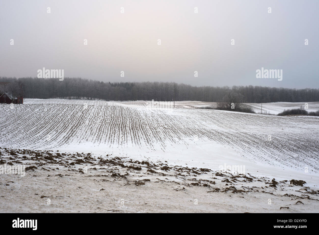 Fields, covered with snow, resting ower the winter Stock Photo - Alamy