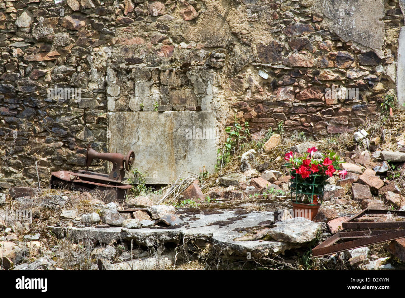 Destroyed building flowers hi-res stock photography and images - Alamy