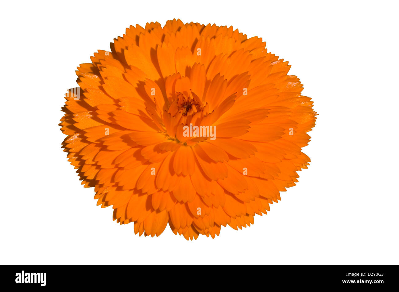 Little ball Cut Out Stock Images & Pictures - Alamy