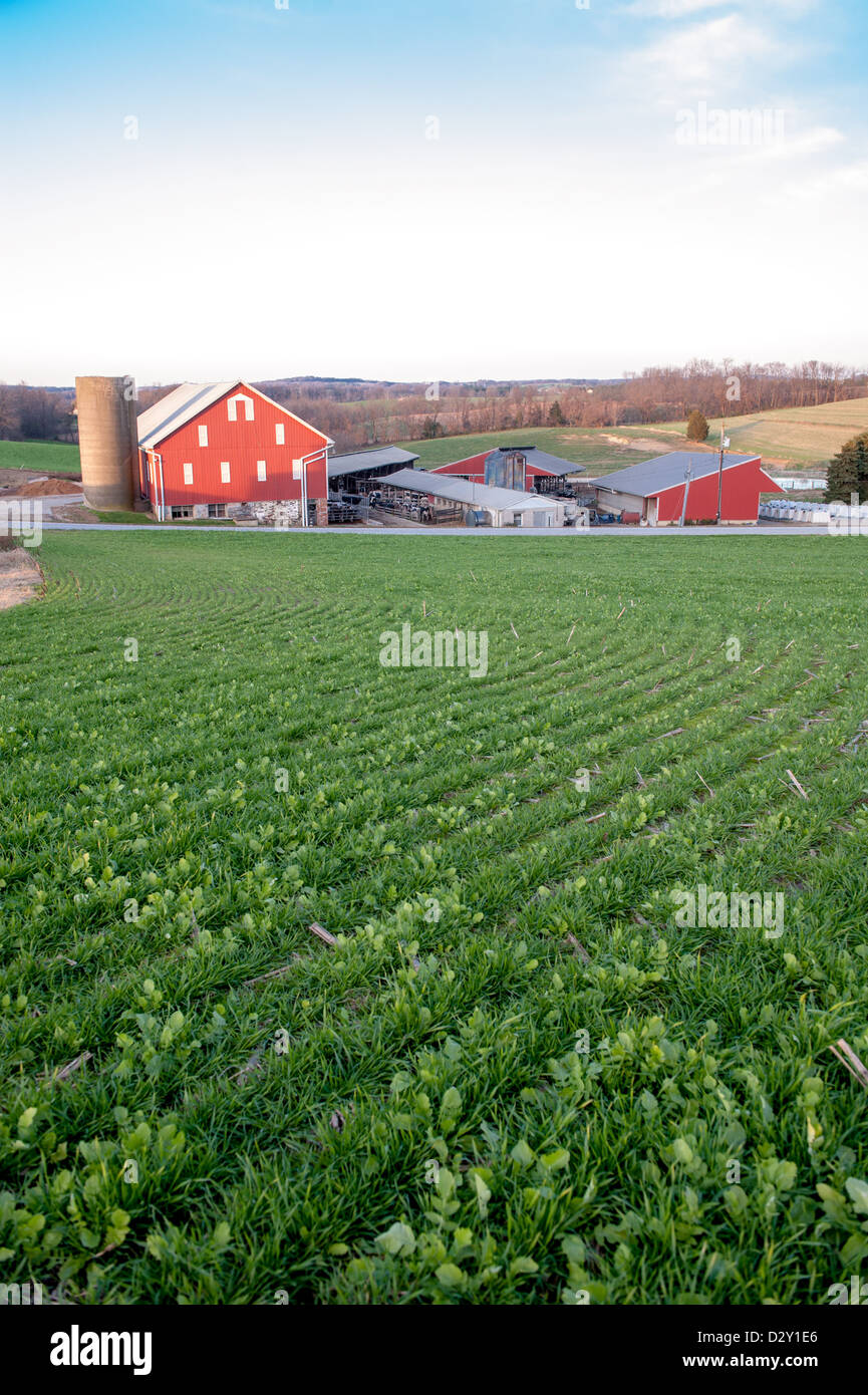 Row crop field and barns Stock Photo - Alamy