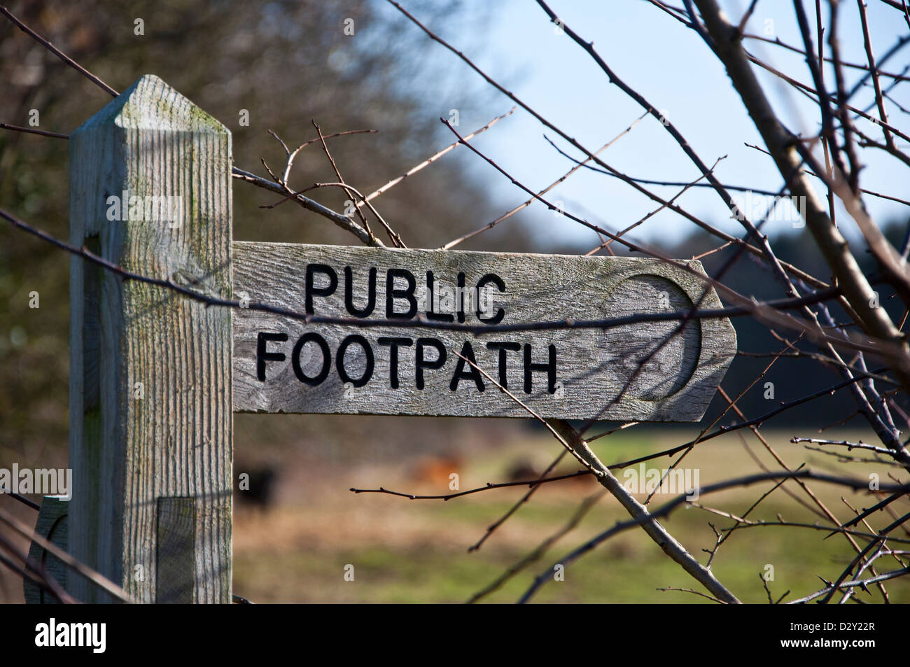 Public footpath sign Stock Photo - Alamy