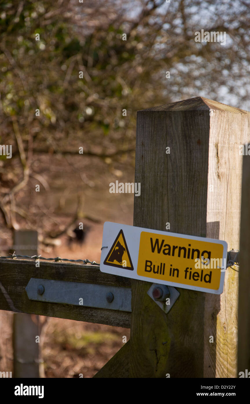 Warning bull in field sign Stock Photo - Alamy