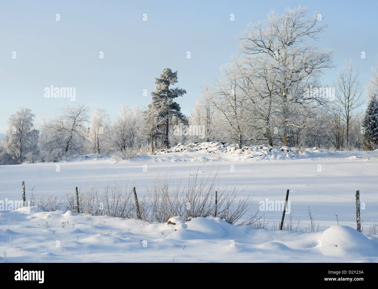 Winter with snow white frost ower a farmers landscape Stock Photo - Alamy