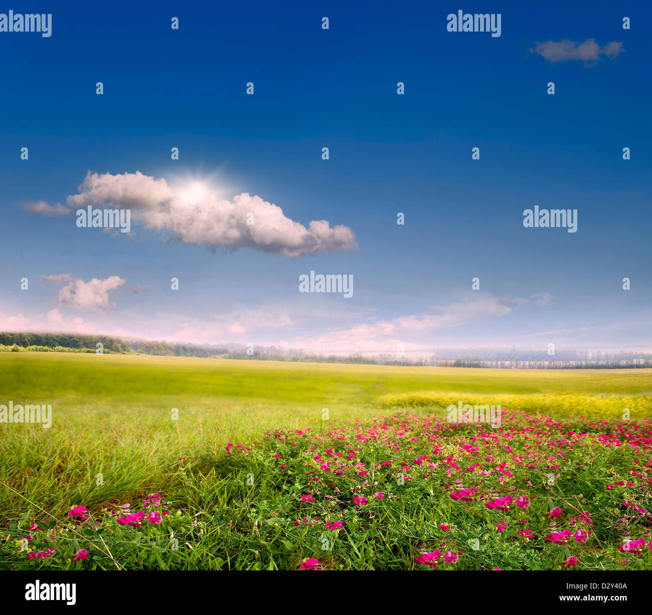 green meadow with sky and clouds and pink flowers Stock Photo - Alamy
