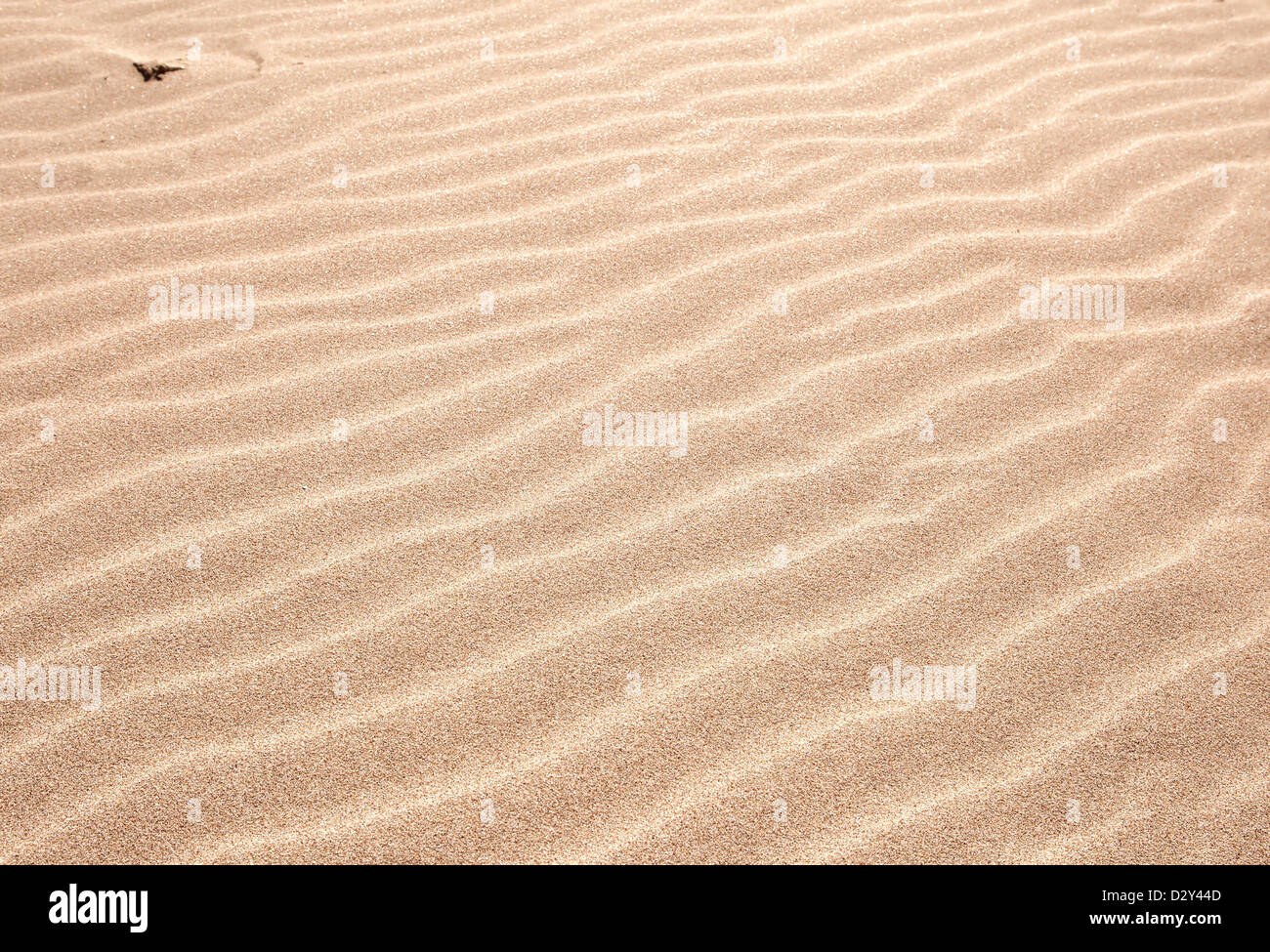 sand as a backdrop. dune Stock Photo - Alamy