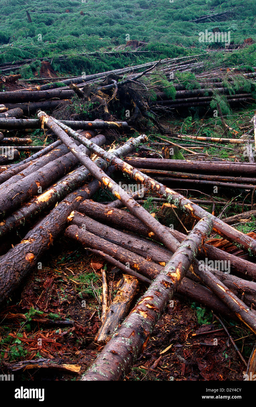 Commercial logging operation hi-res stock photography and images - Alamy