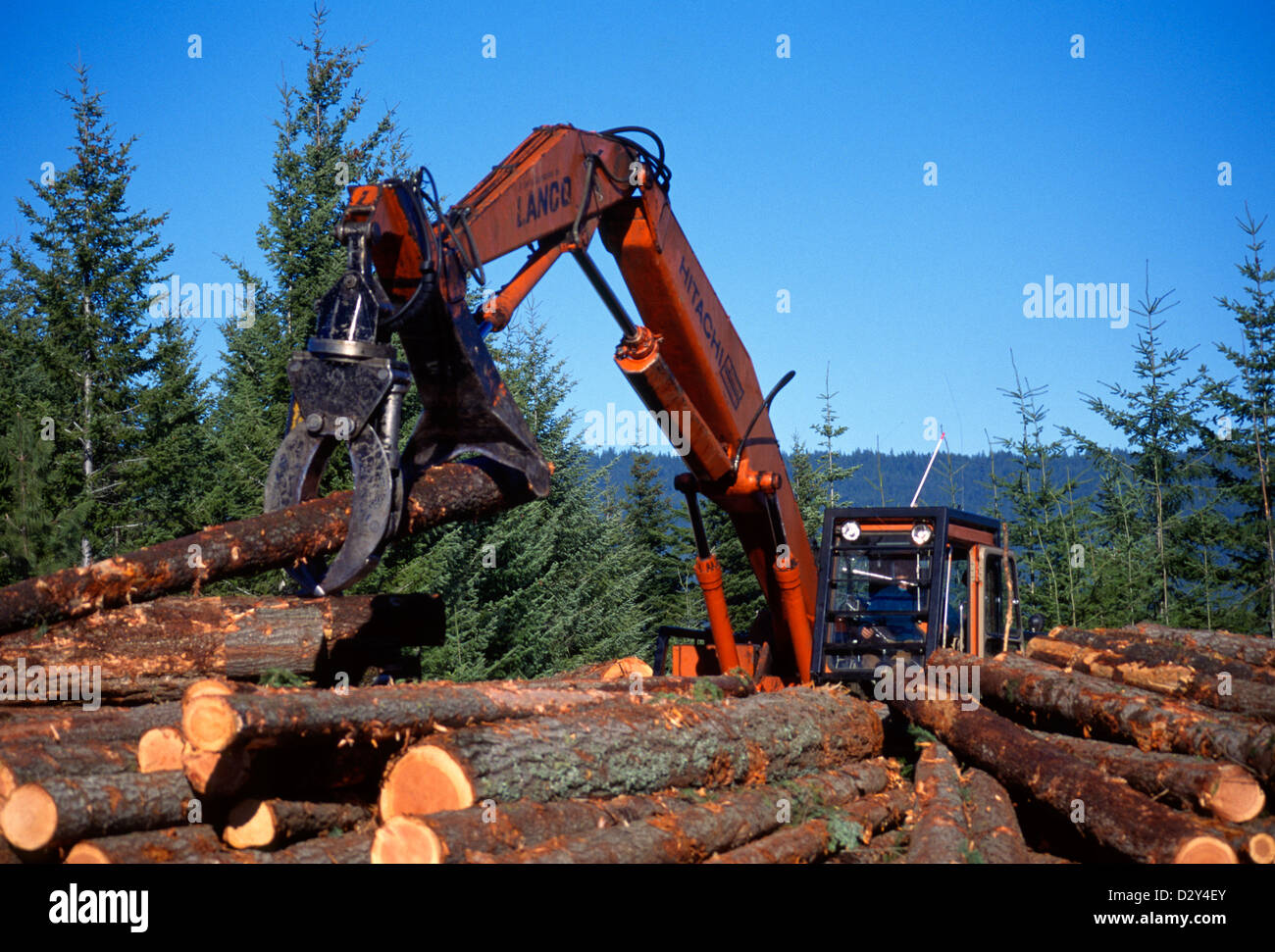 Commercial logging operation hi-res stock photography and images - Alamy