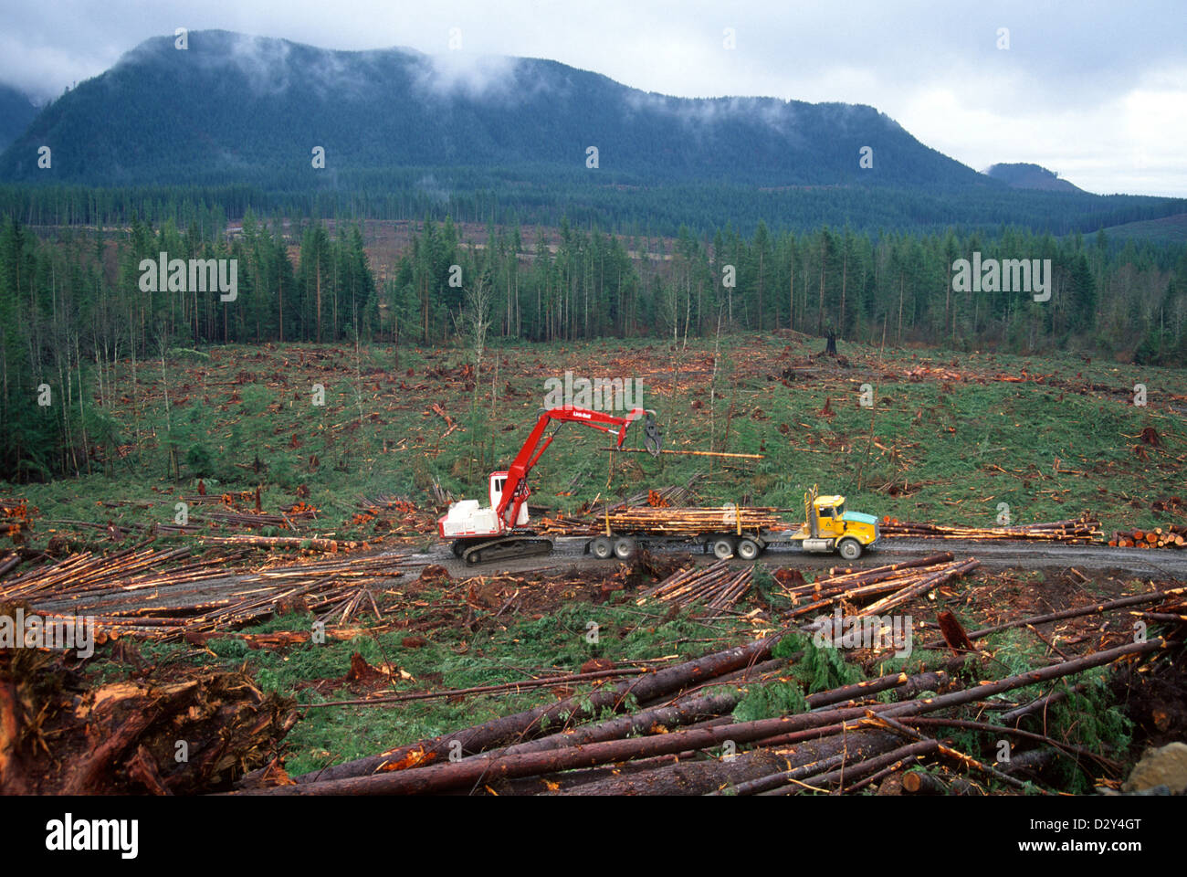 Commercial logging operation hi-res stock photography and images - Alamy