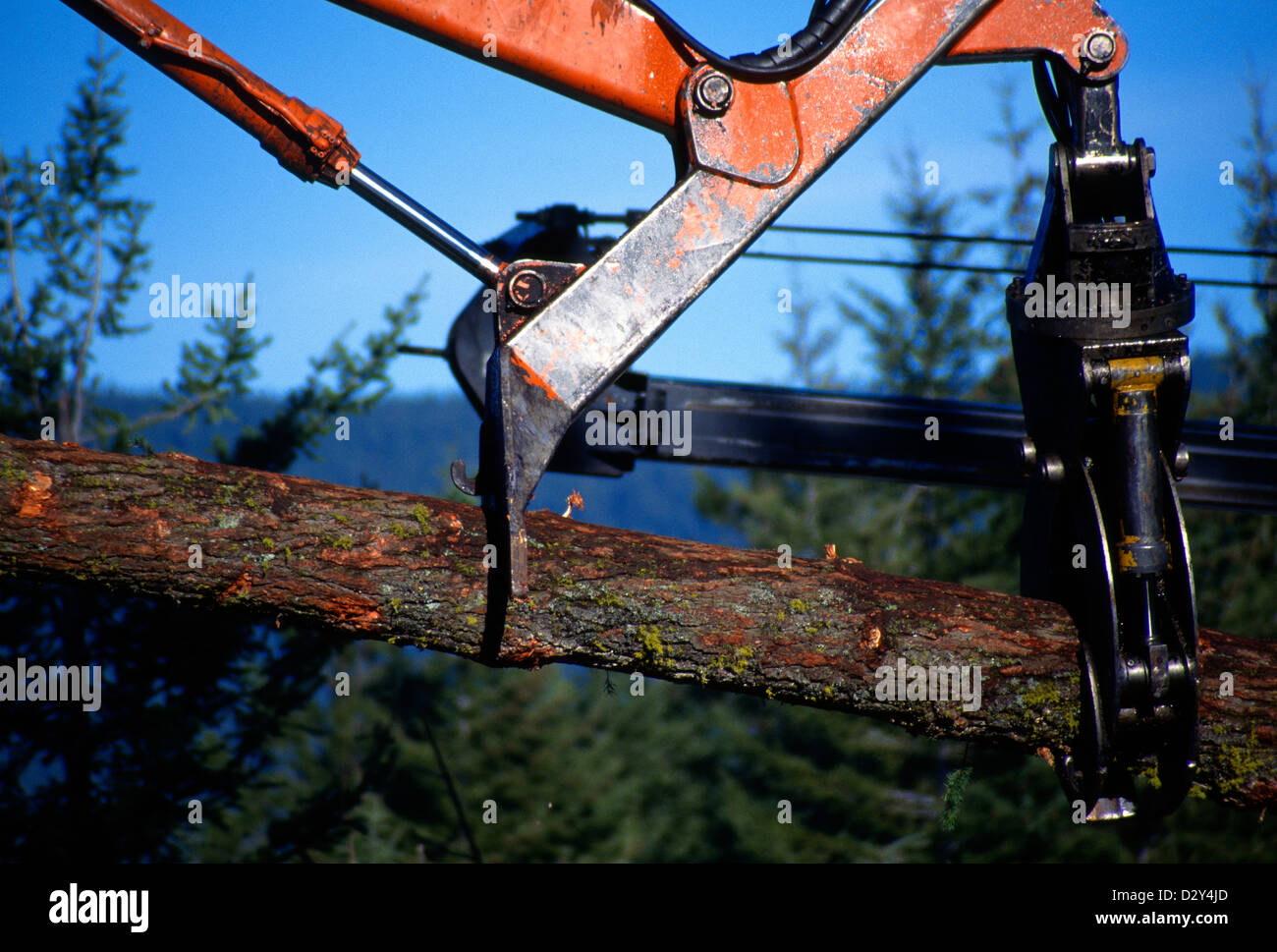 Commercial logging operation hi-res stock photography and images - Alamy