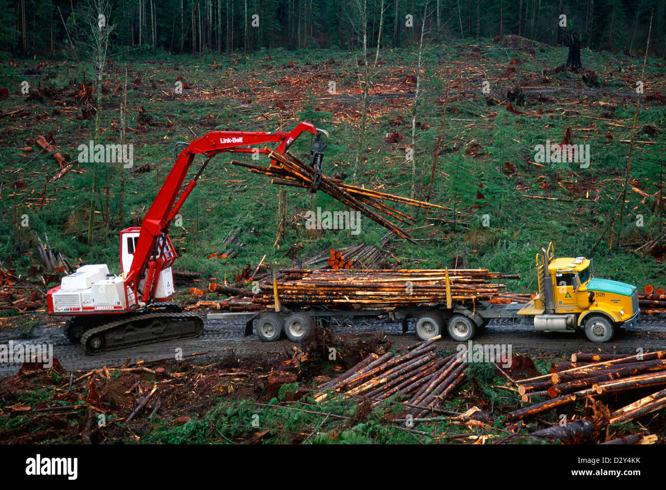 Commercial logging operation hi-res stock photography and images - Alamy
