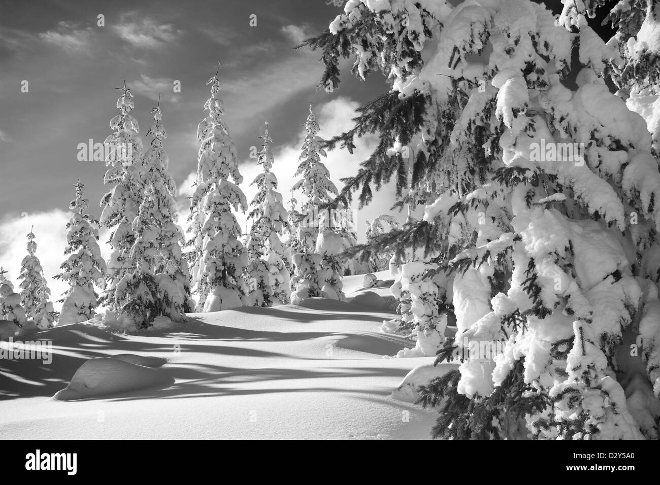 Blanketed hi-res stock photography and images - Alamy