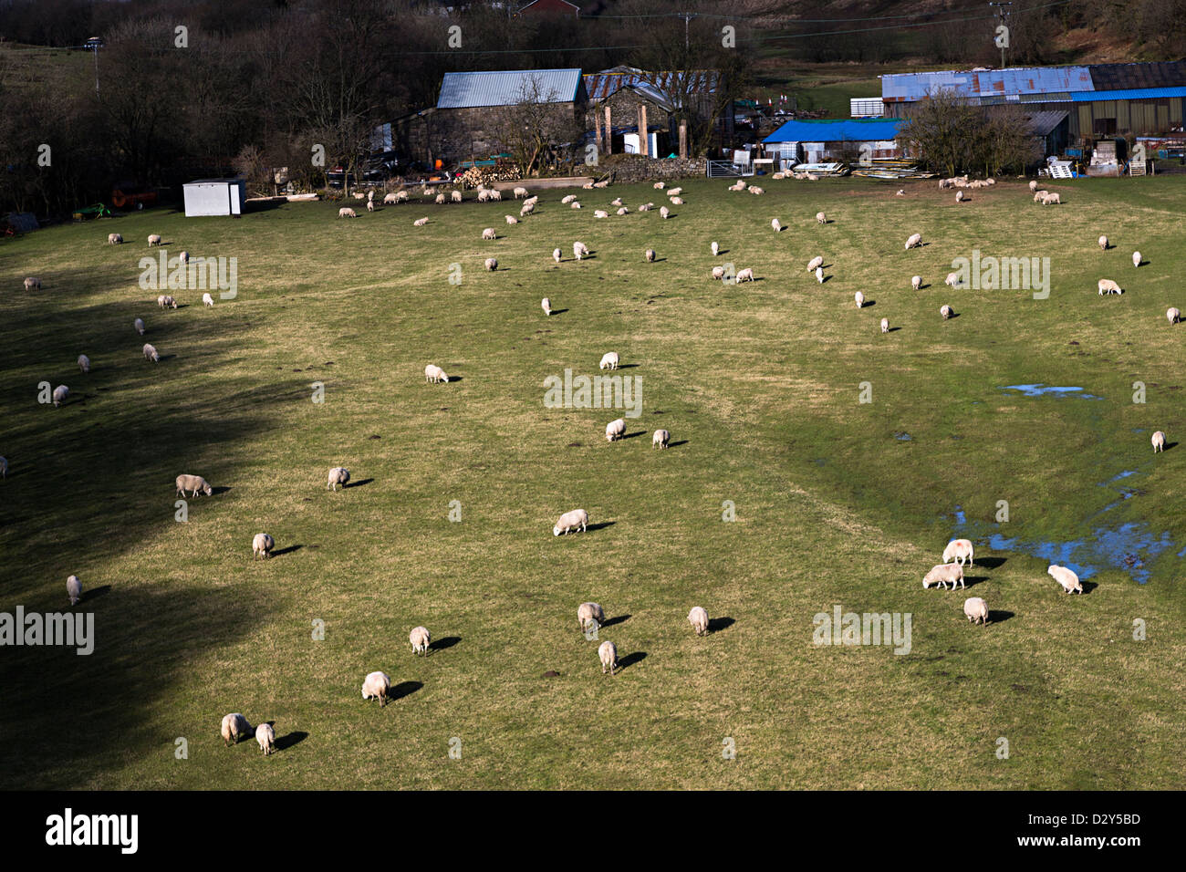 European sheep farming hi-res stock photography and images - Alamy