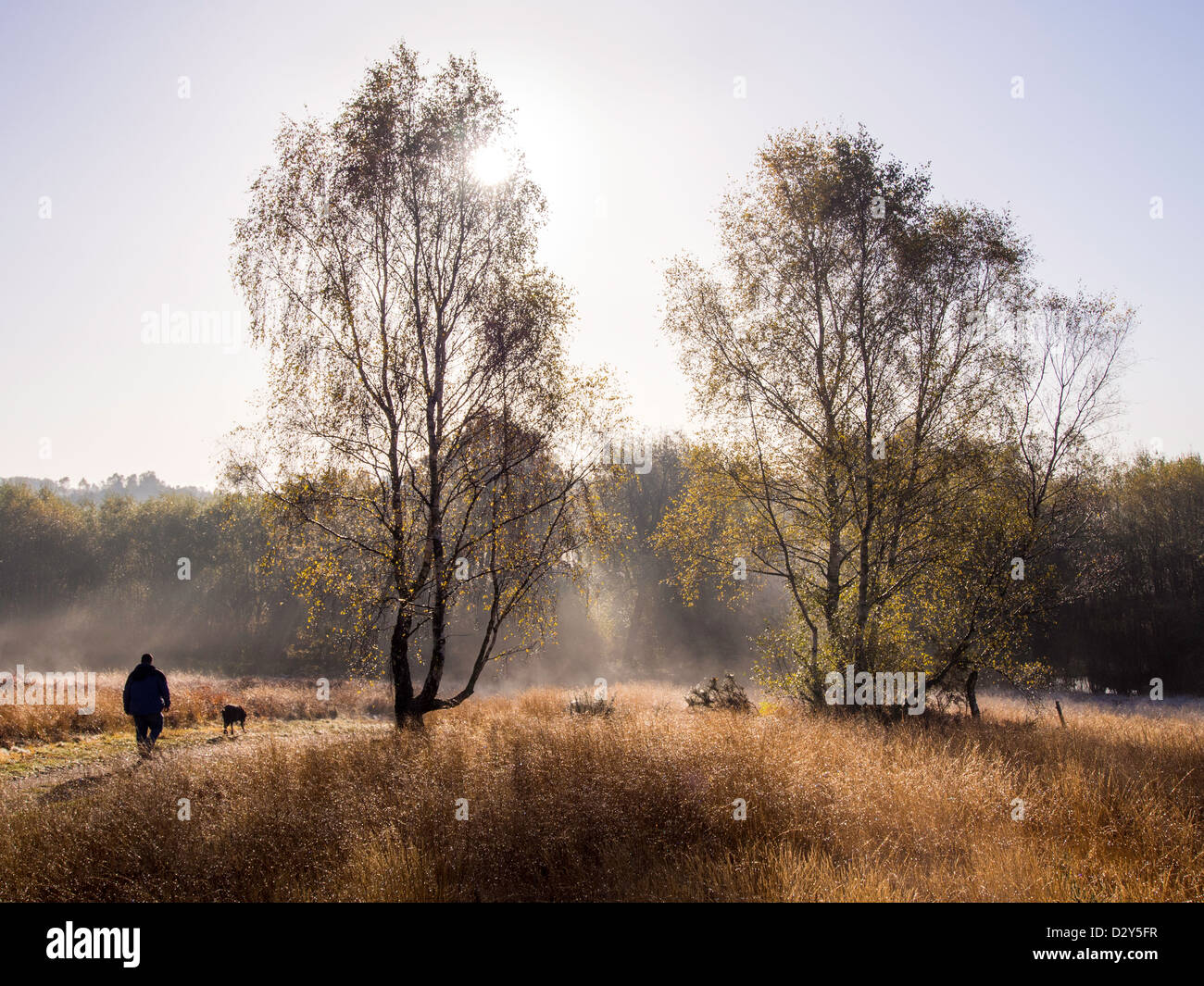 Chobham common hi-res stock photography and images - Alamy