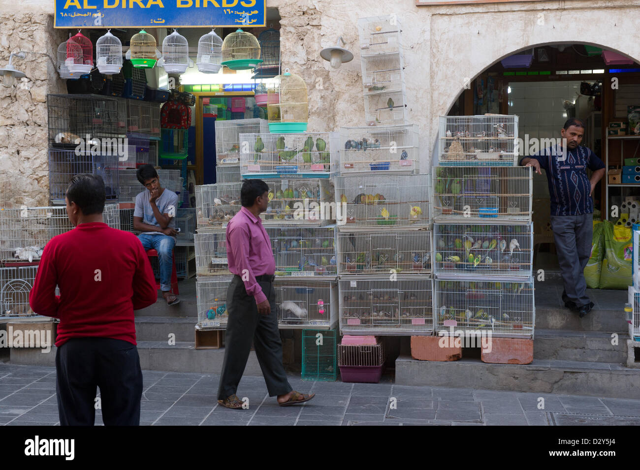 A bird dealer offers in Souq Waqif, Doha (Qatar) on 09.01.2013 his ...