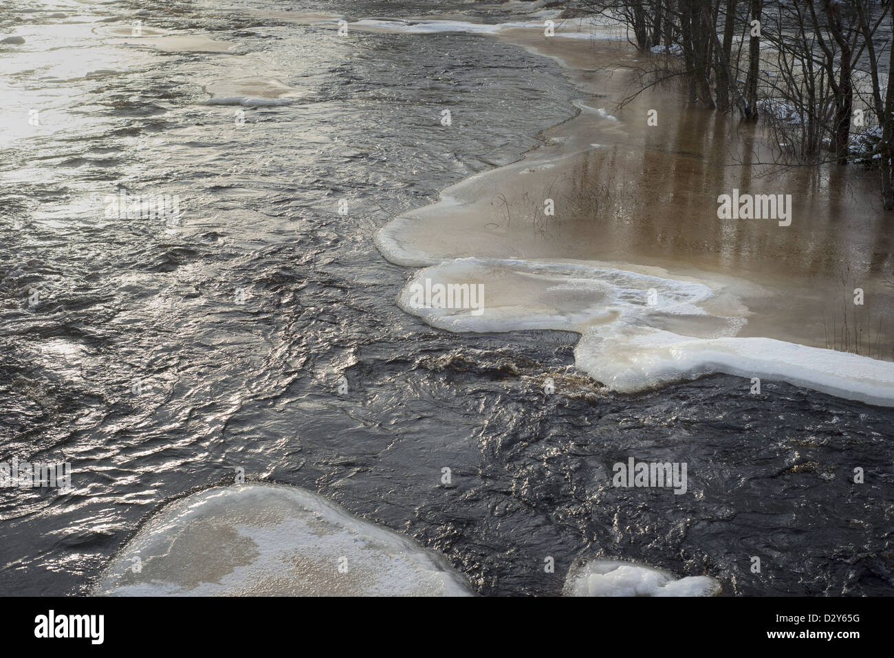 Ice and running water in river Helgeå, Småland Stock Photo - Alamy