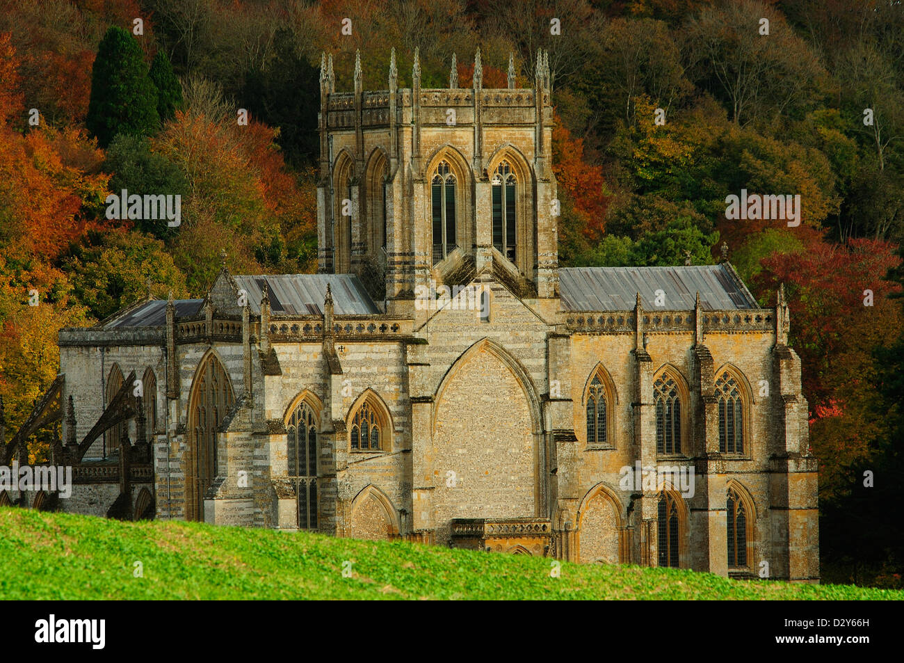 Majestic old trees hi-res stock photography and images - Alamy