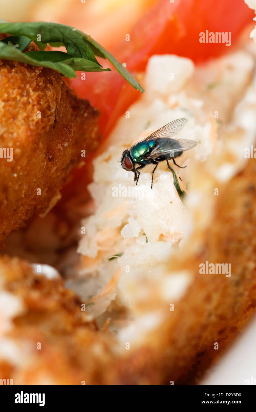 Food contamination hi-res stock photography and images - Alamy