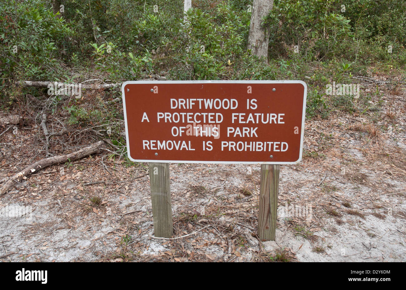Big Talbot Island State Park along North Florida's Atlantic coast ...