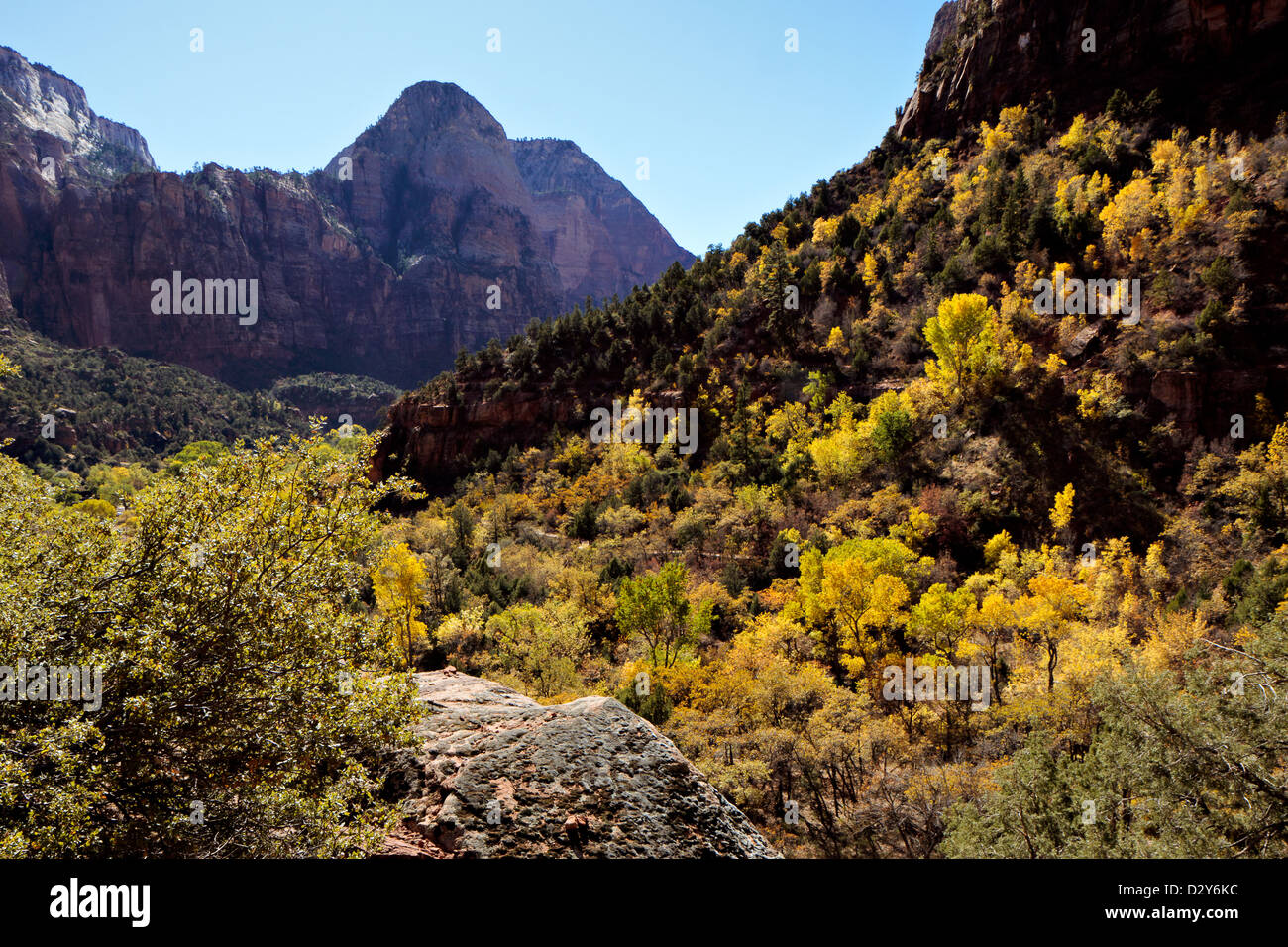 Beautiful valley Zion National Park Stock Photo - Alamy