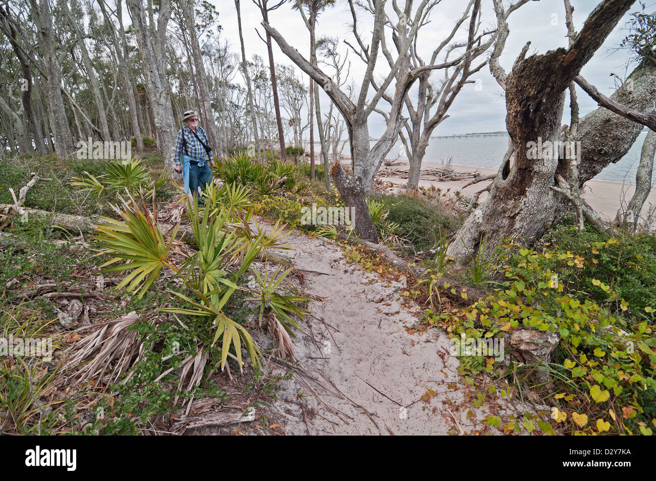 Big Talbot Island State Park along North Florida's Atlantic coast Stock ...